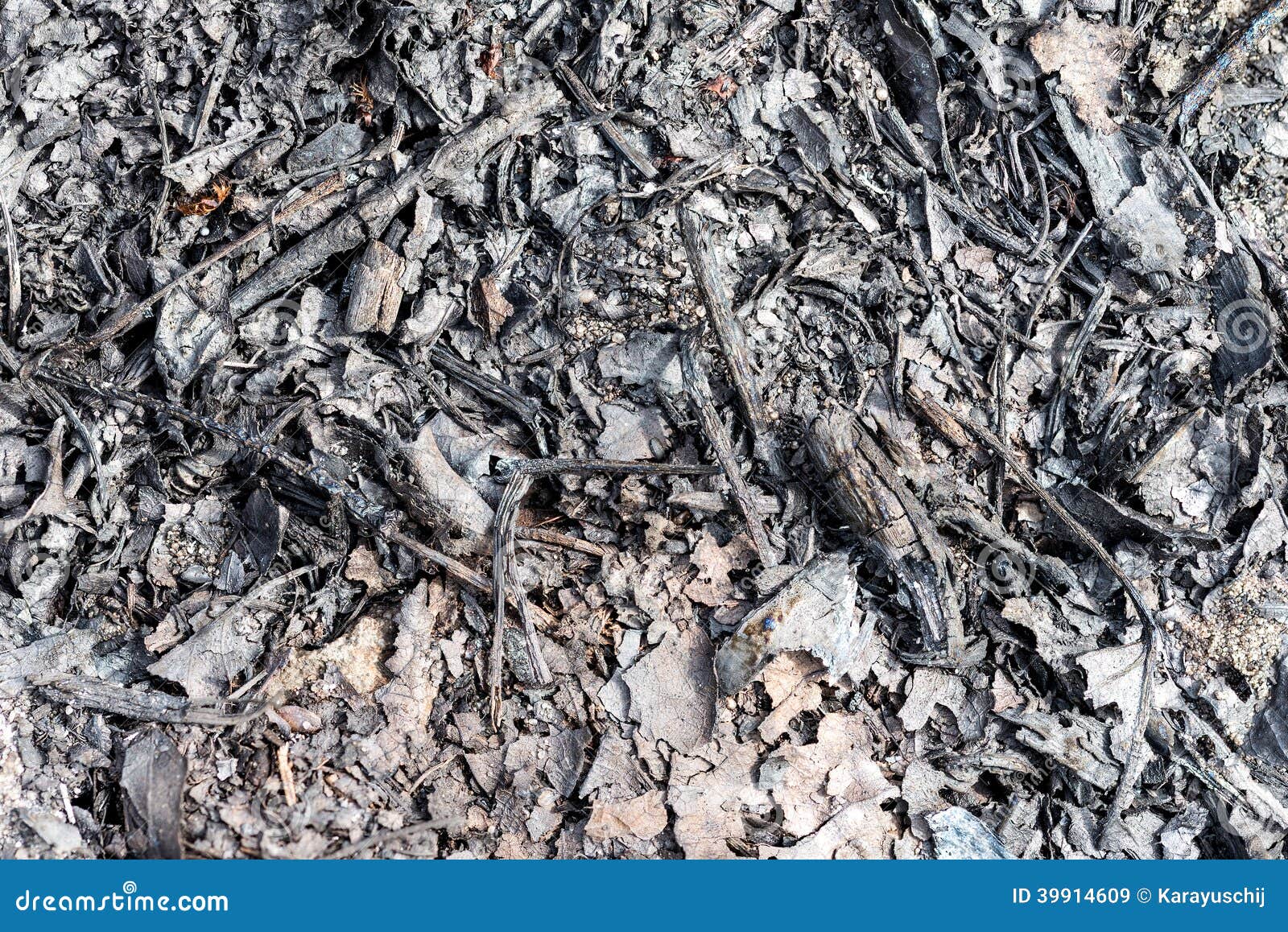 Burnt Leaves Texture stock image. Image of cracked, burnt - 39914609