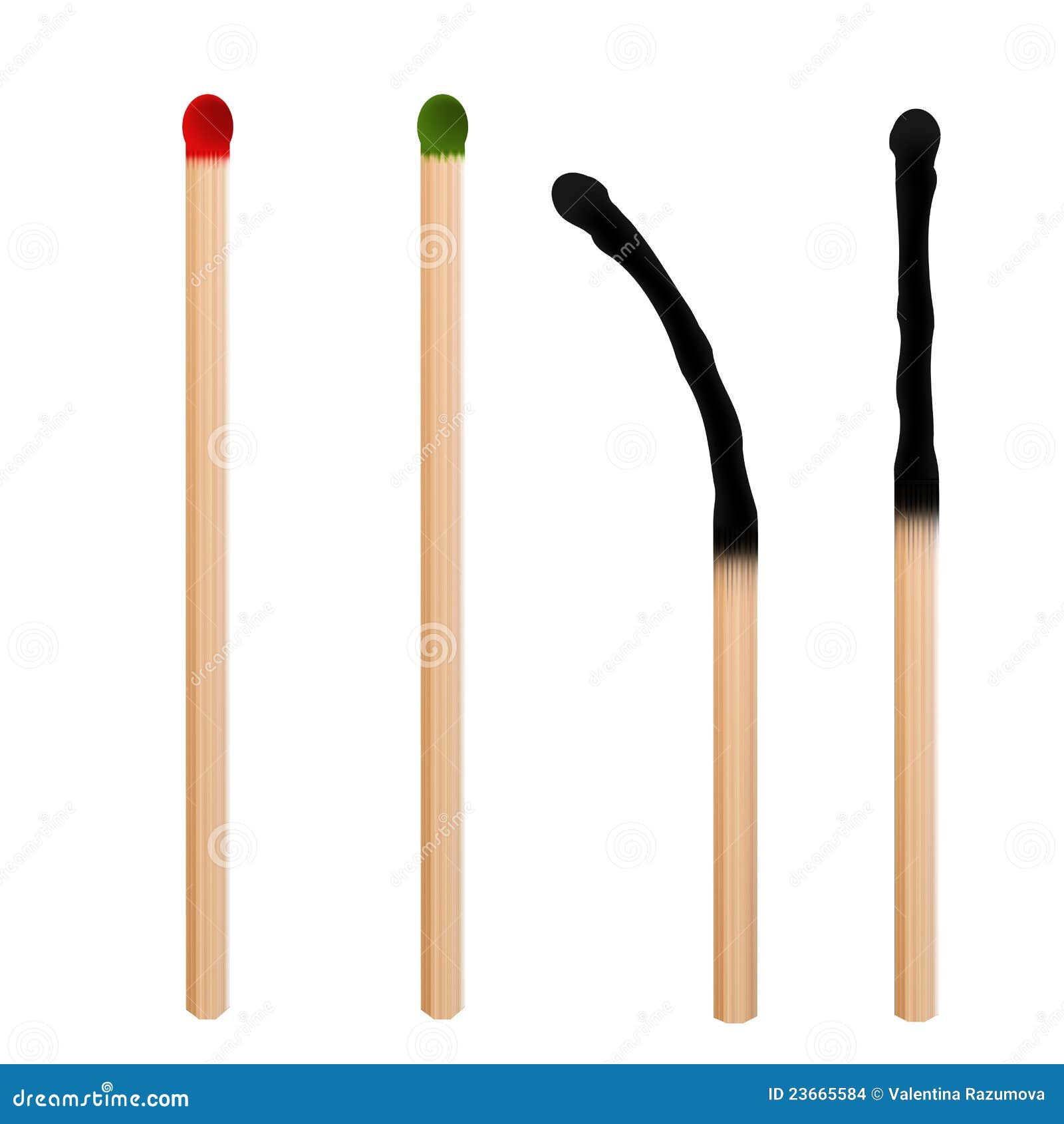 Burnt match and a whole stock vector. Illustration of wood - 23665584