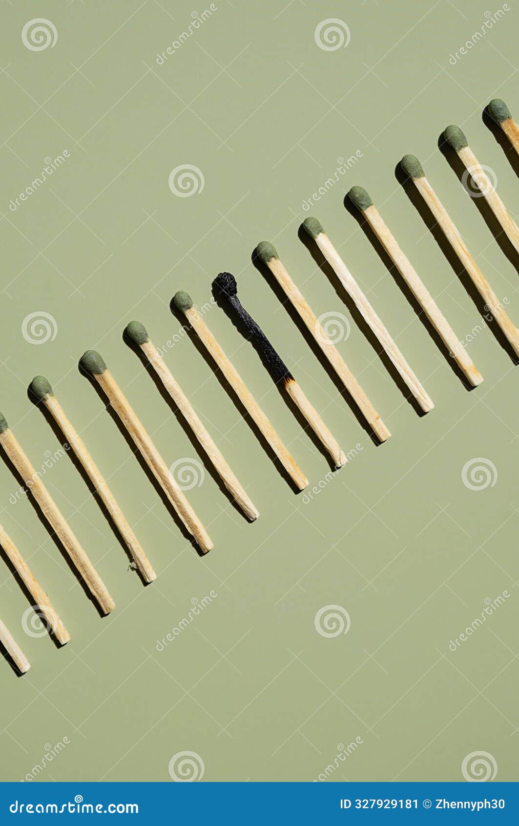 Burnt Matchstick among Unburnt Ones on Row Stock Image - Image of ...