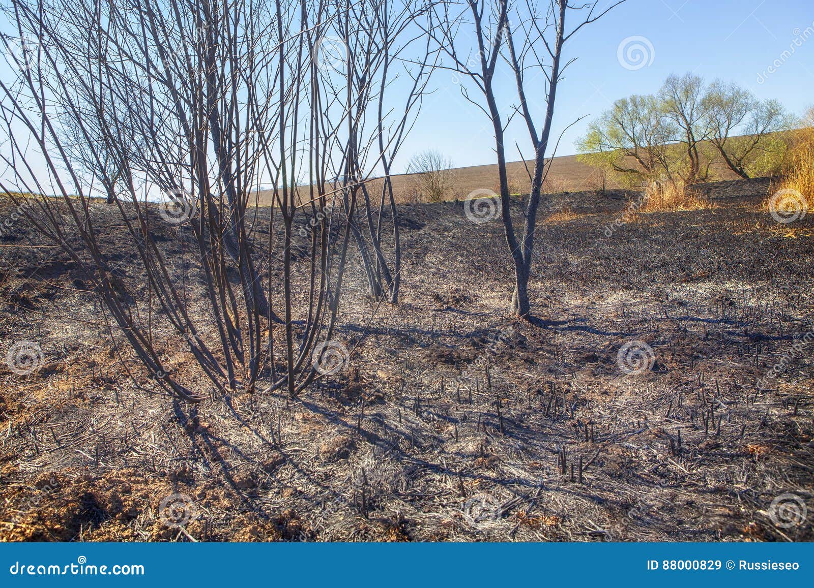 Burnt natural area stock image. Image of flame, fire - 88000829