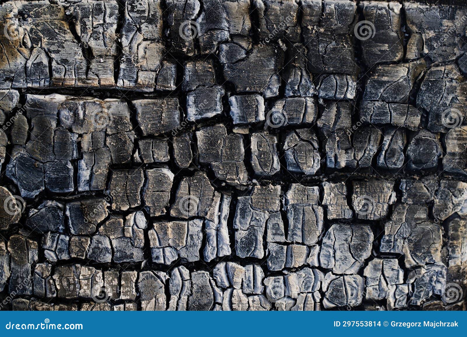 Burnt Oak Wood Texture. Burnt Wood, Charcoal. Stock Photo - Image of ...