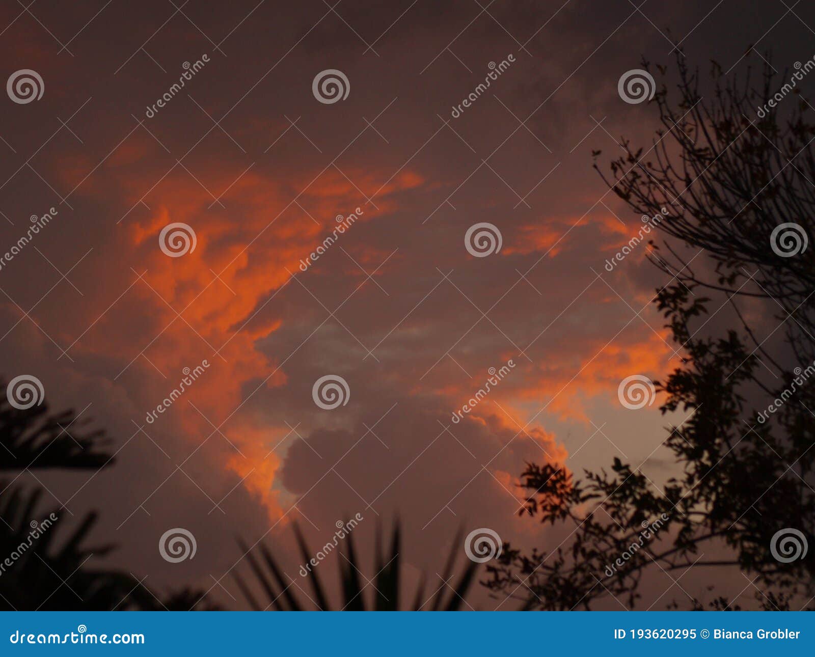 Burnt orange sunset stock image. Image of dawn, night - 193620295