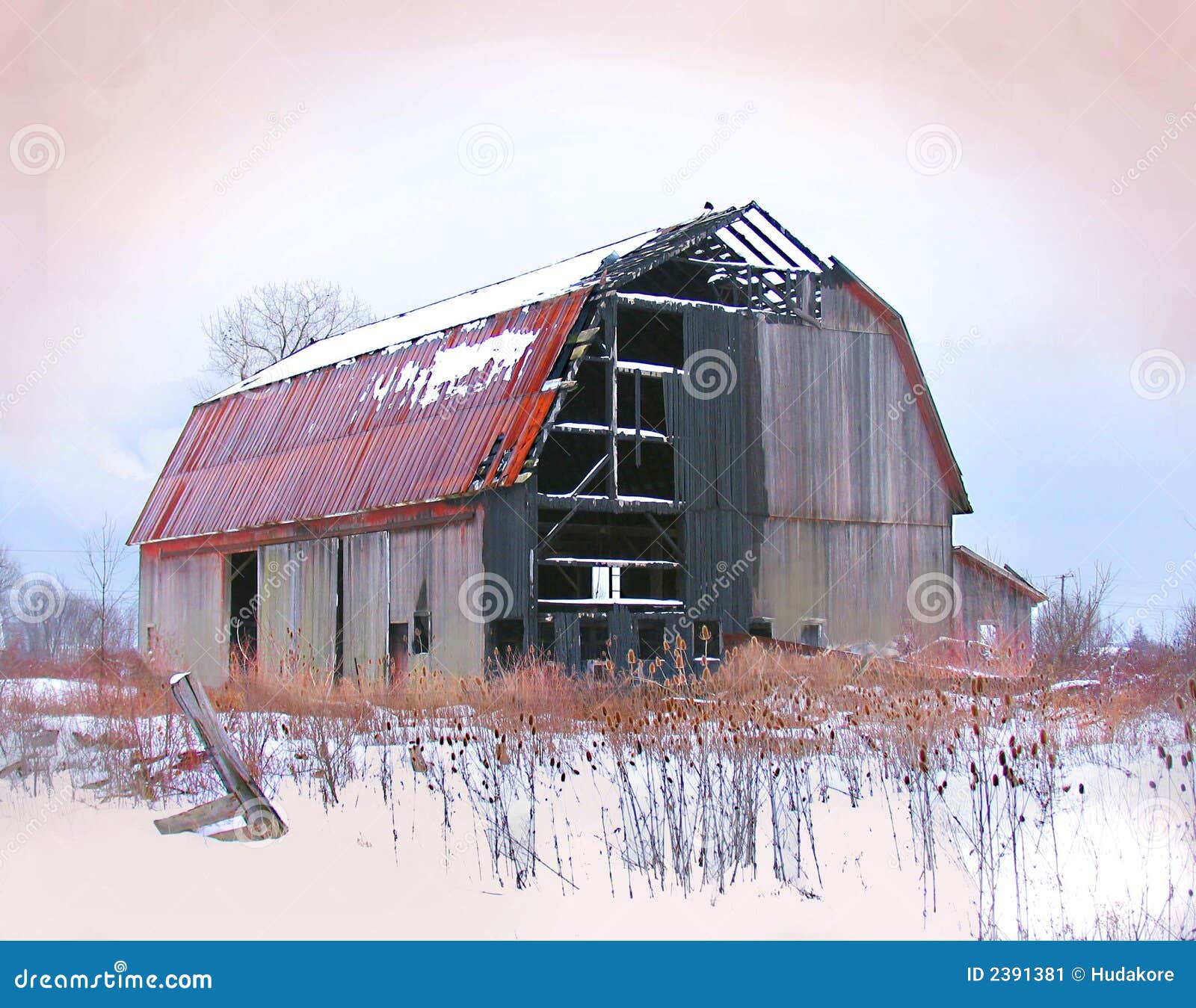 Burnt-Out Barn stock image. Image of overgrown, building - 2391381