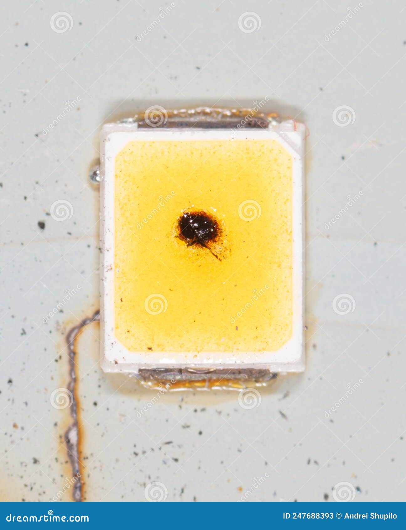 Burnt Out LEDs on a Disassembled LED Lamp. Stock Image - Image of tool ...