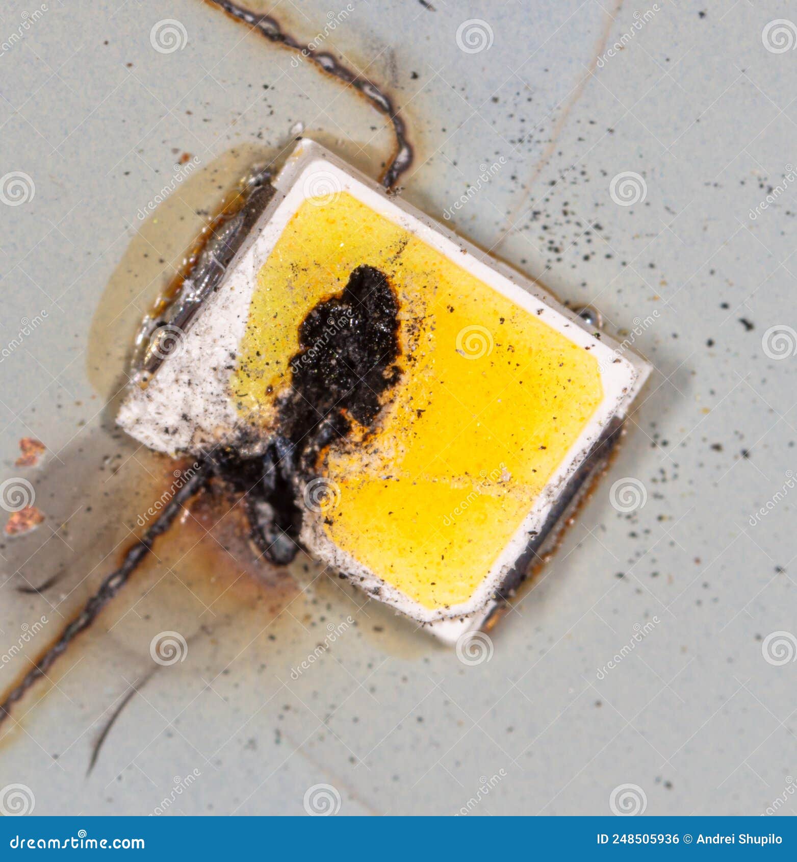 Burnt Out LEDs on a Disassembled LED Lamp. Stock Photo - Image of ...