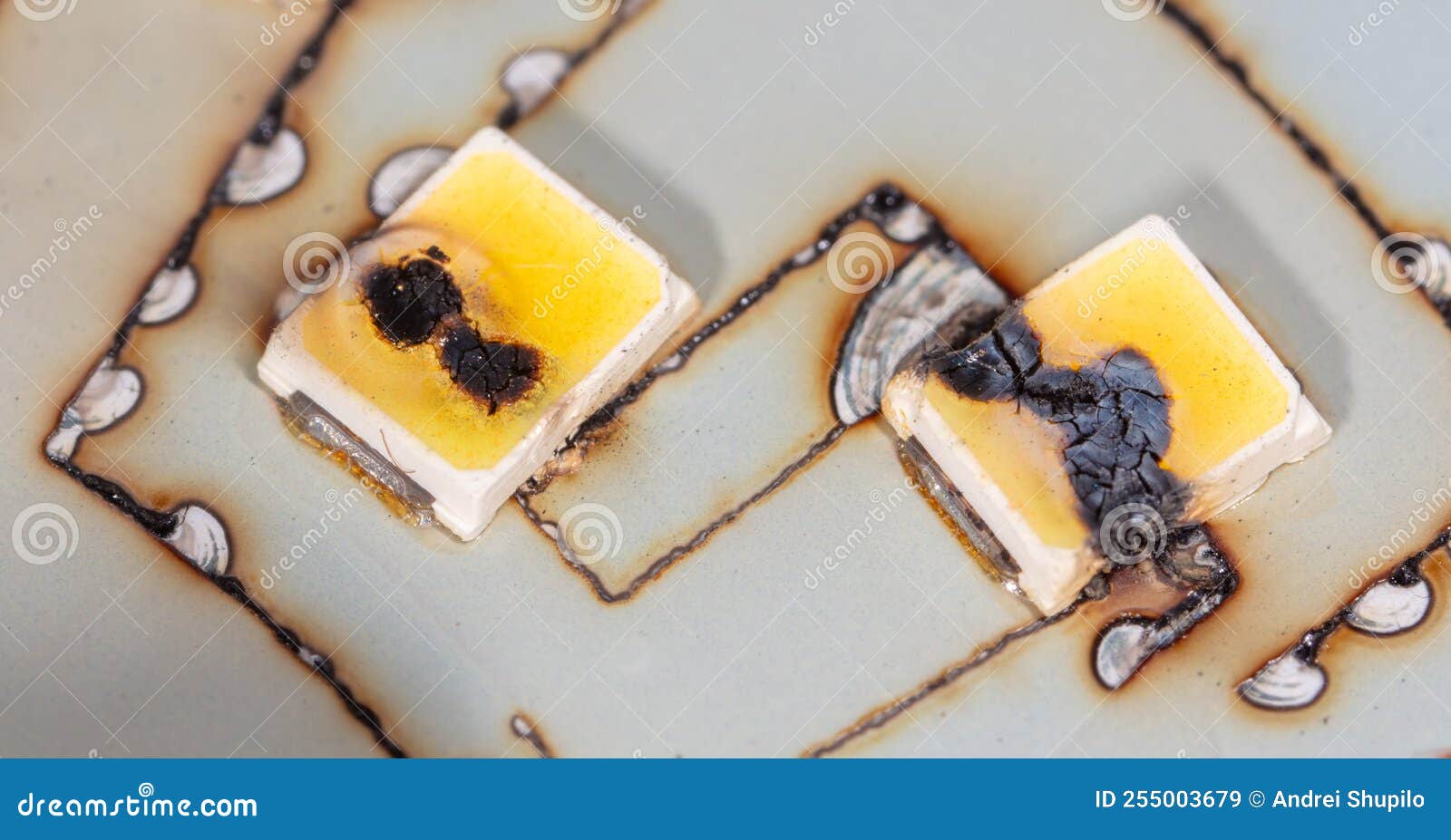 Burnt Out LEDs on a Disassembled LED Lamp. Stock Image - Image of ...