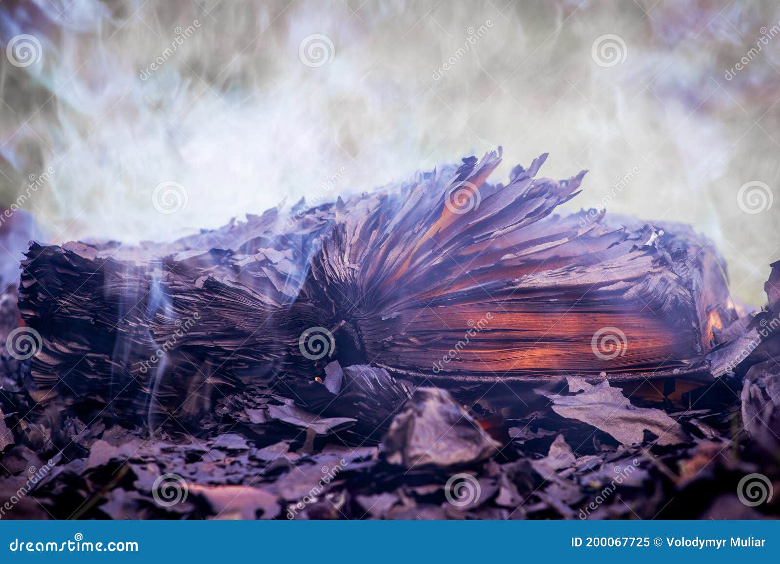 Burnt Pages of a Book and Smoke on the Hearth Stock Image - Image of ...