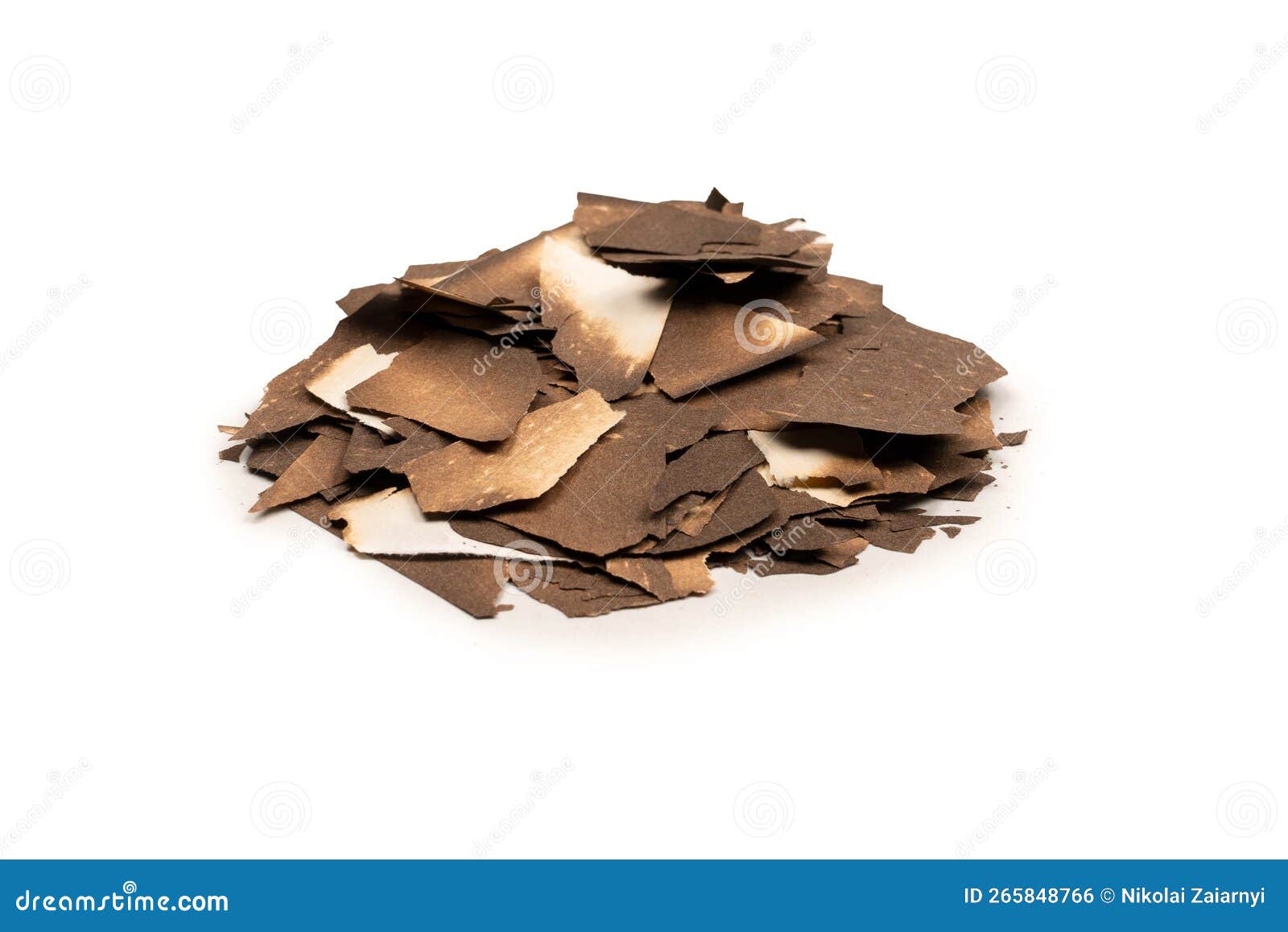 Burnt Paper Isolated on a White Background Stock Photo - Image of scrap ...