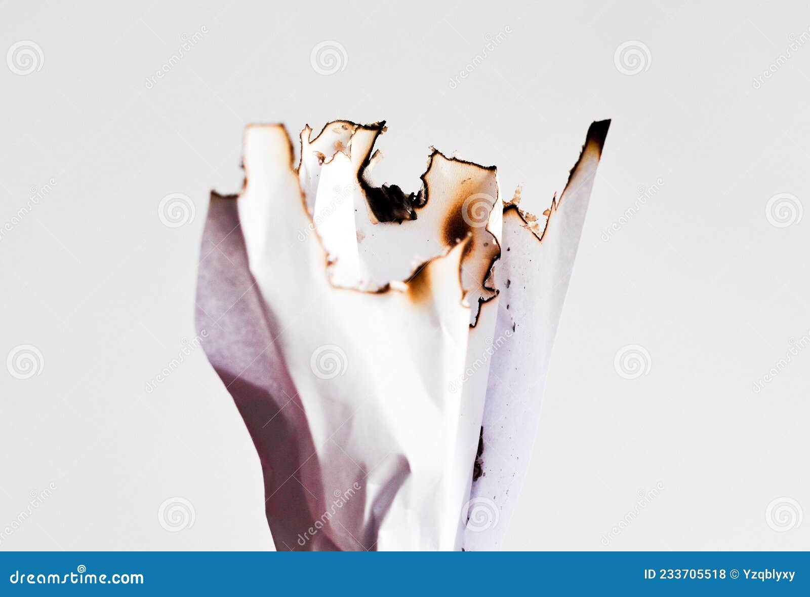 Burnt Paper roll stock photo. Image of copy, remains - 233705518