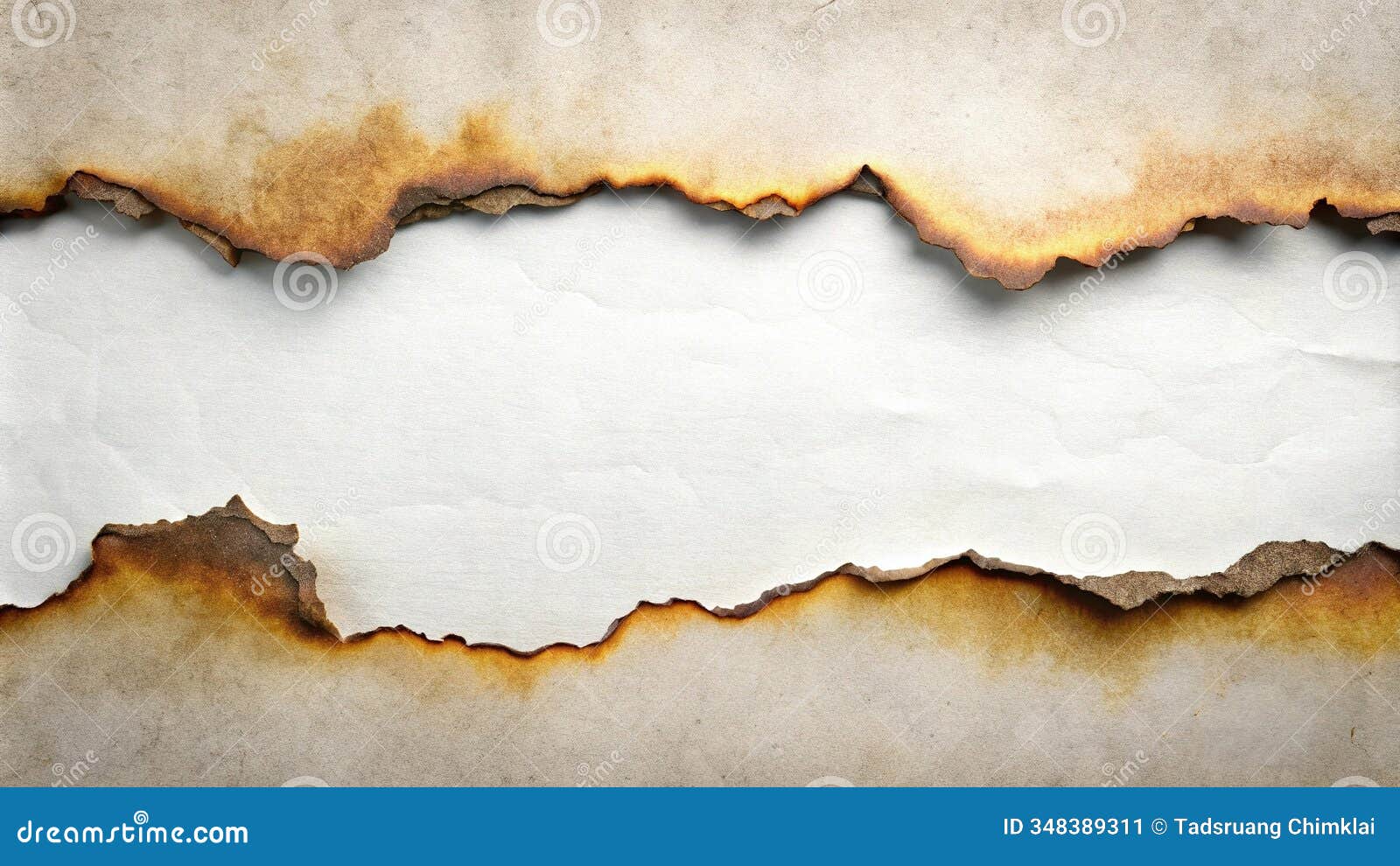 Charred Elegance: Burnt Paper Texture Silhouette - Generative AI Stock ...