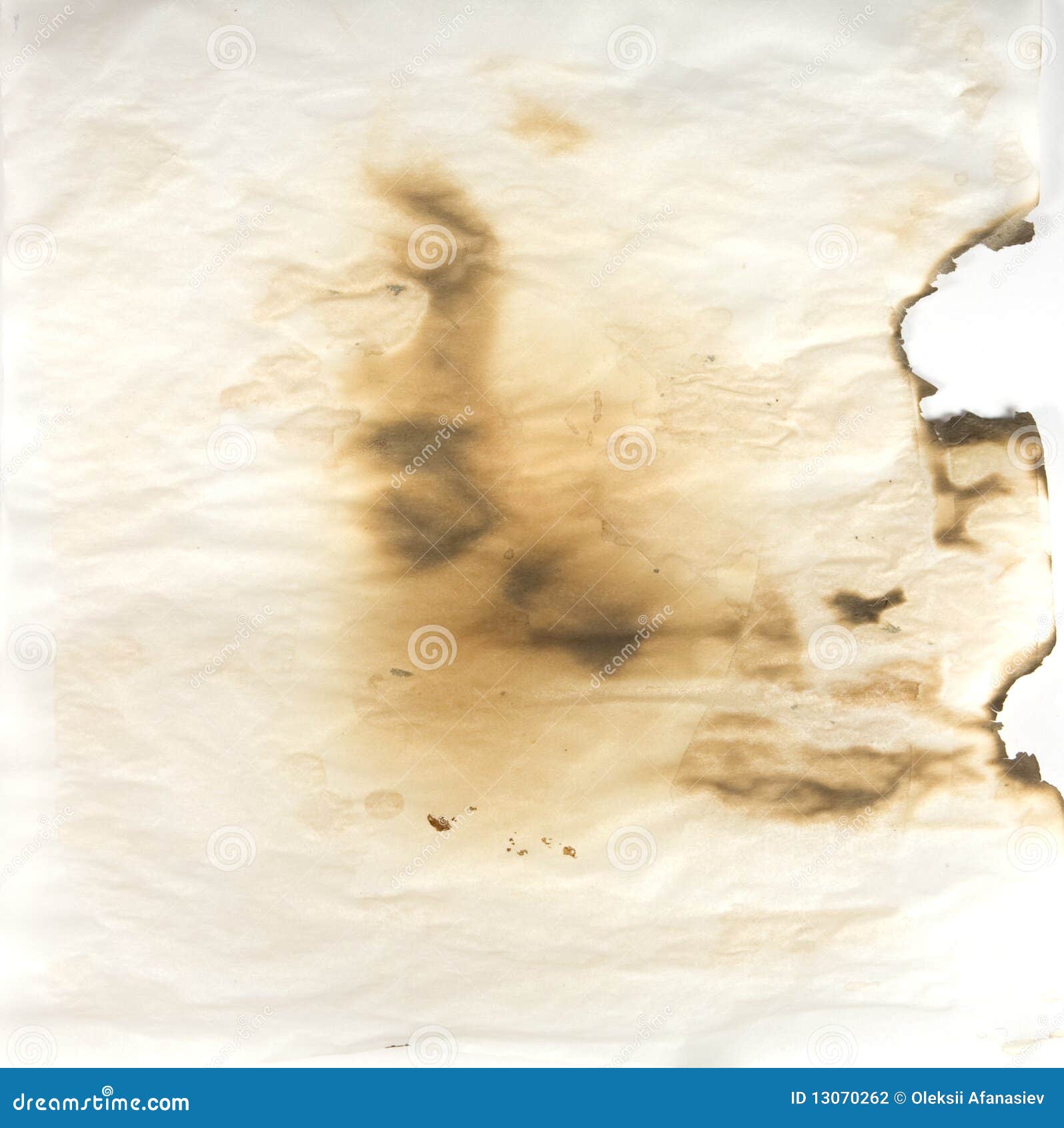 Burnt parchment paper stock photo. Image of gold, abstract - 13070262