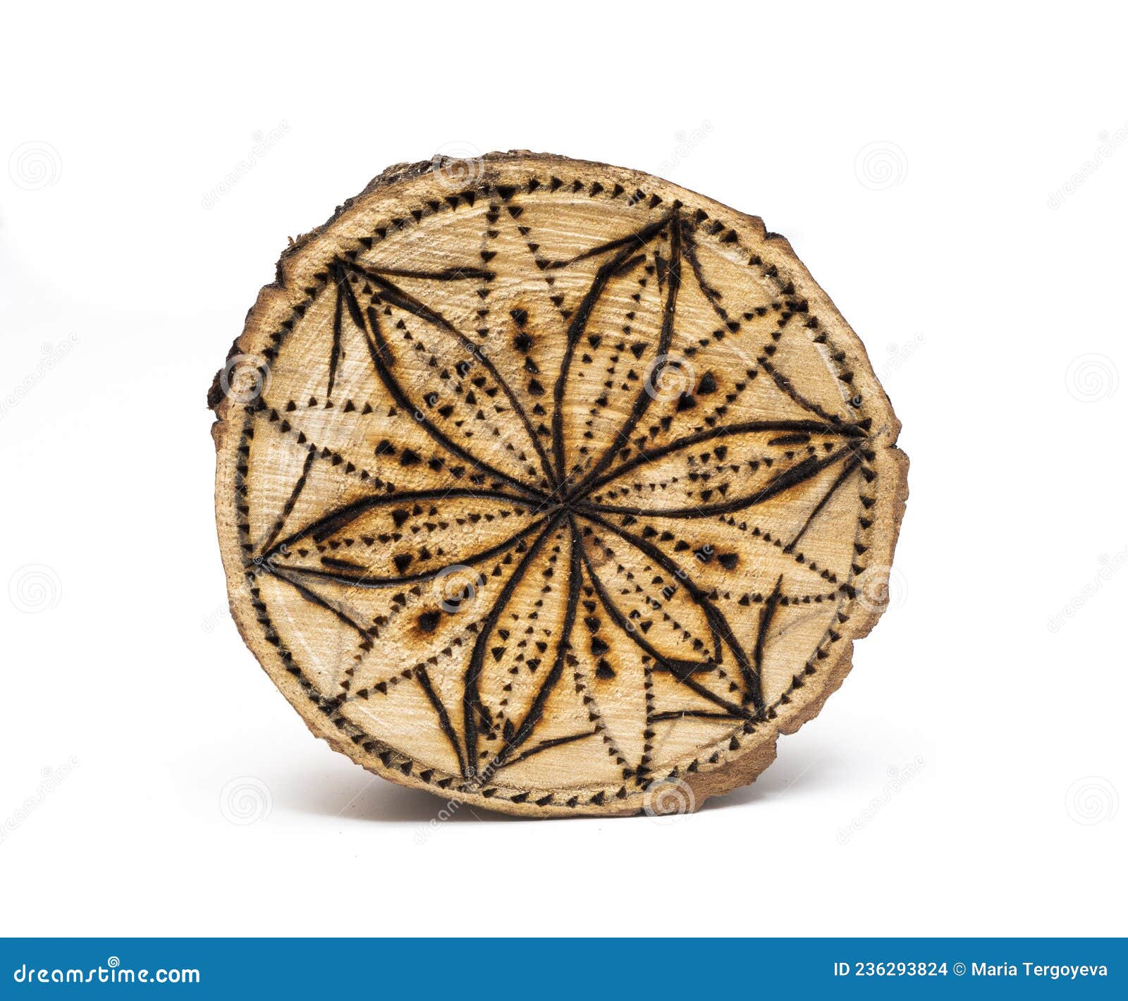 Burnt Pattern on Round Cut of a Tree Isolated on a White Background. a ...