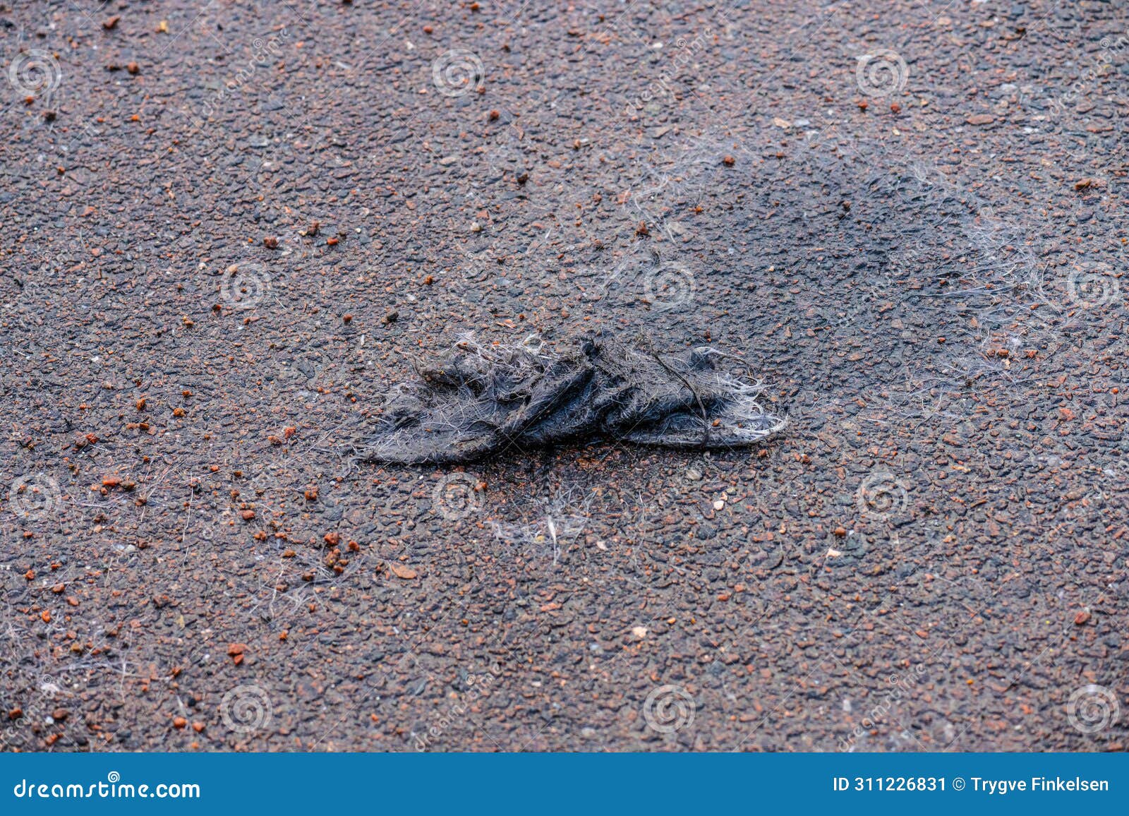 Burnt Plastic from the Fire at Liseberg Oceana.. Stock Image - Image of ...