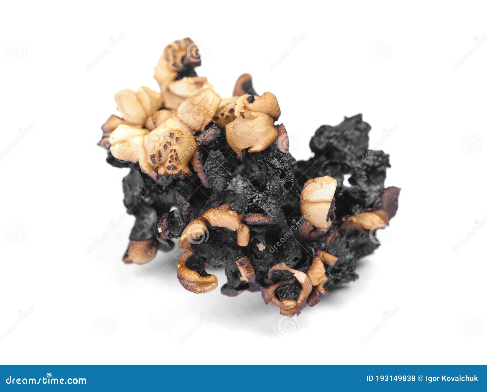 Burnt popcorn kernel stock photo. Image of crust, kernel - 193149838