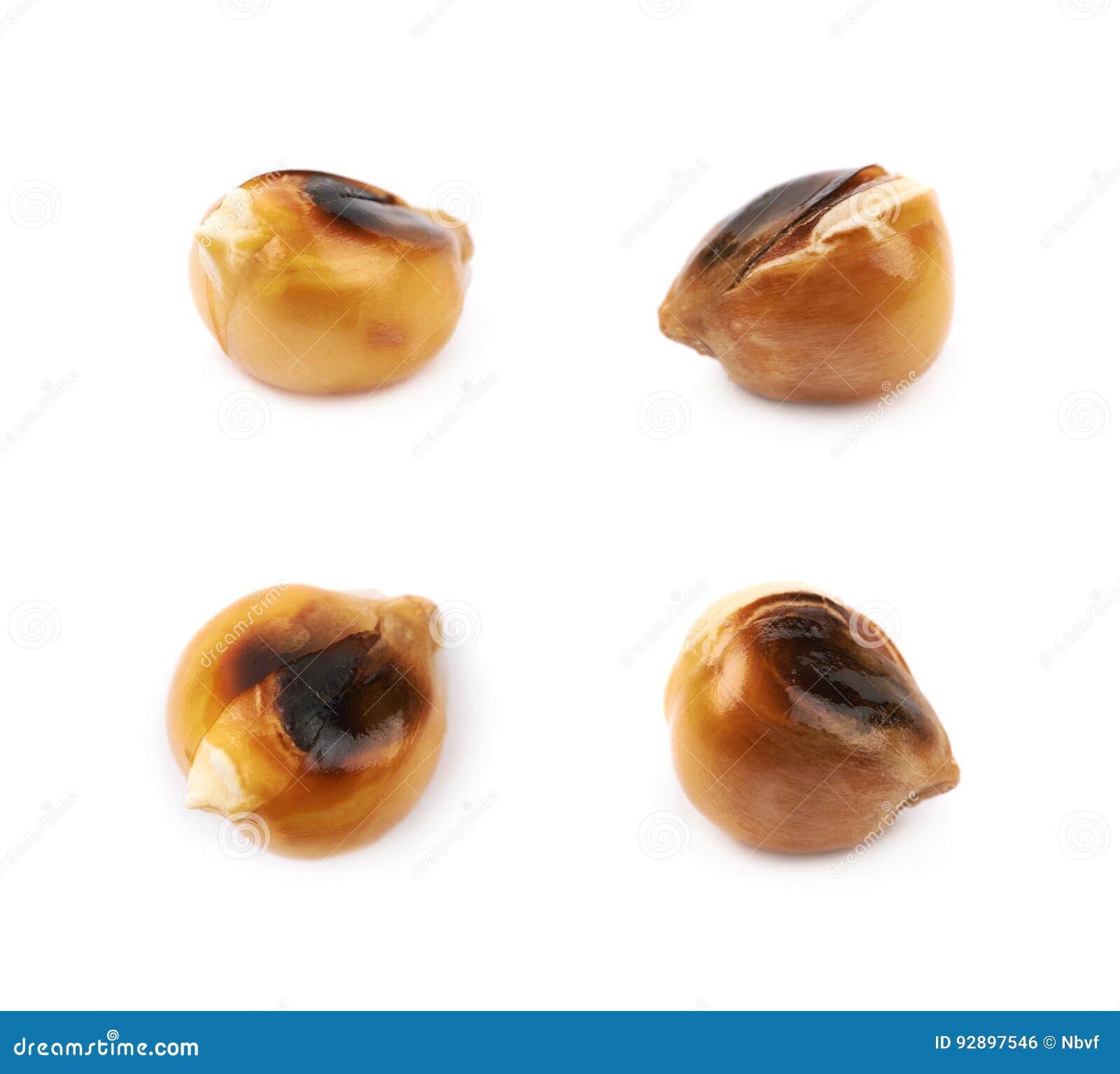 Burnt Popcorn Kernel Isolated Stock Photo - Image of shot, cinema: 92897546