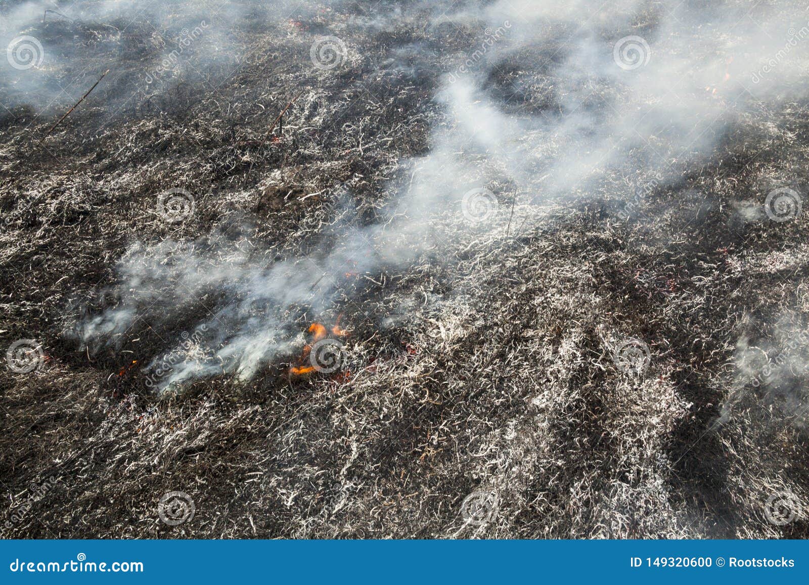 Burnt Smoking Grass after the Fire Stock Photo - Image of conflagration ...