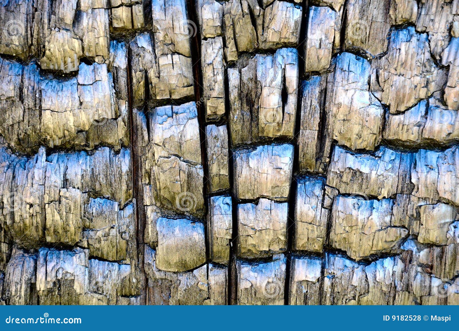Burnt timber stock photo. Image of timber, texture, blue - 9182528
