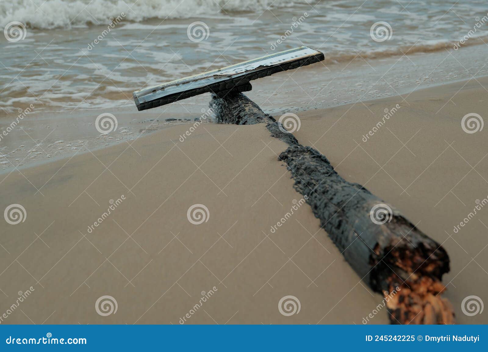 Burnt Traffic Sign and Withered Trees Stock Image - Image of ecology ...