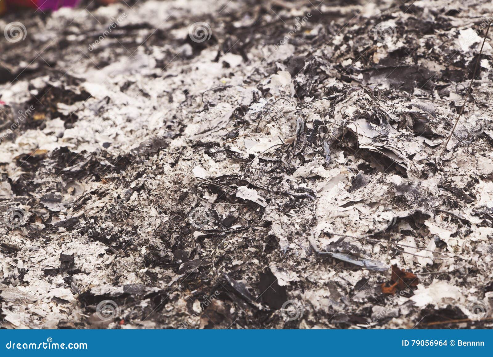 Burnt trash stock photo. Image of battered, grunge, charred - 79056964