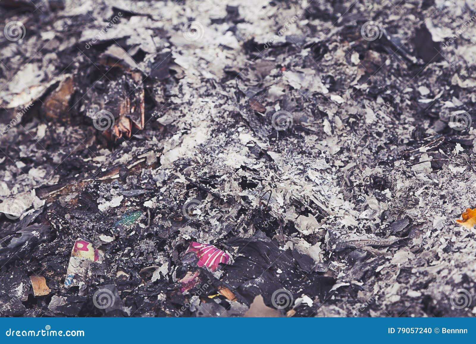 Burnt trash stock photo. Image of messy, cardboard, charry - 79057240