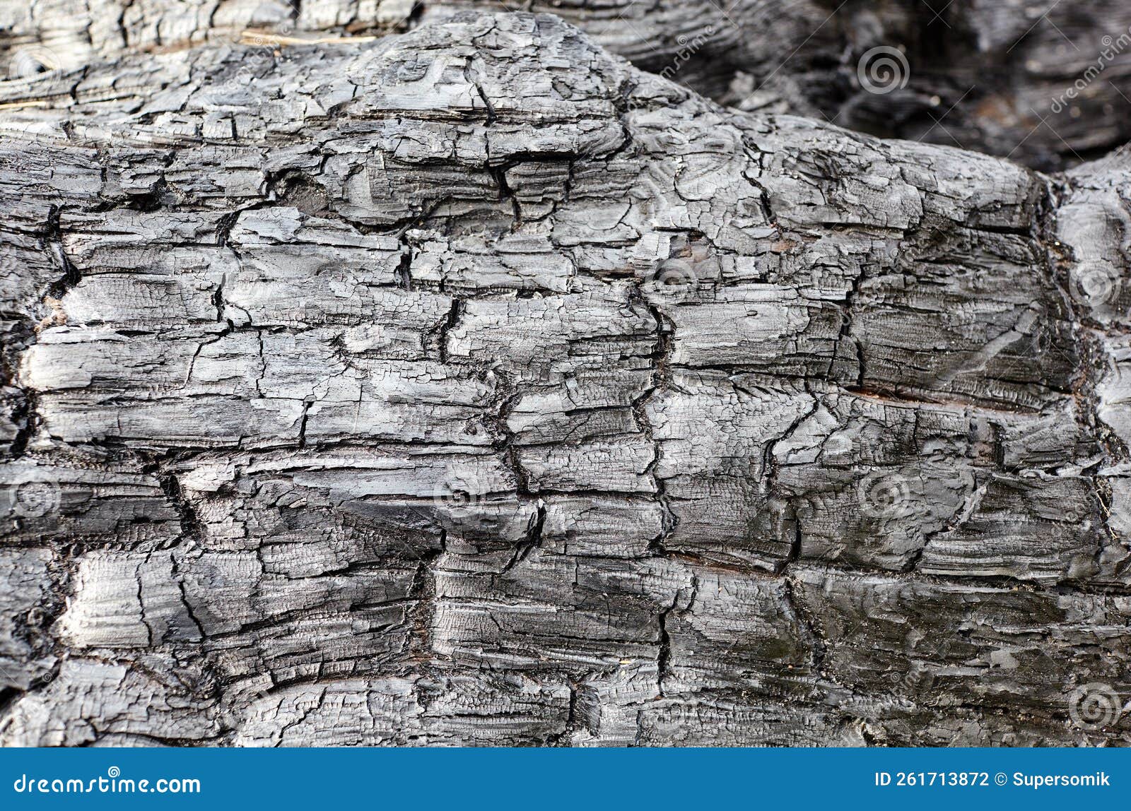 Burnt Tree Bark Background. Tileable Texture of Burnt Wood Stock Photo ...