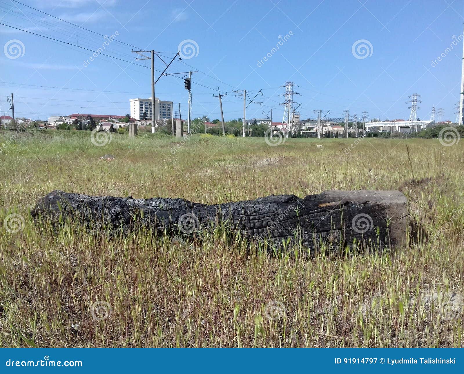 Burnt tree editorial photography. Image of house, dark - 91914797