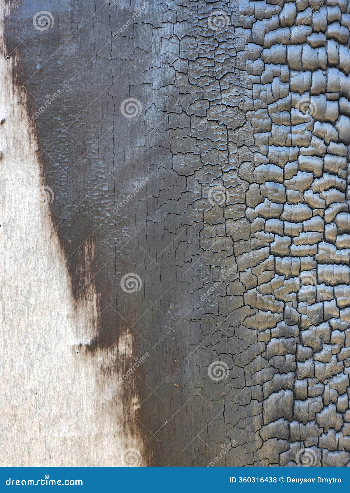 Burnt Wood. Wood Charred by Fire Stock Photo - Image of background ...