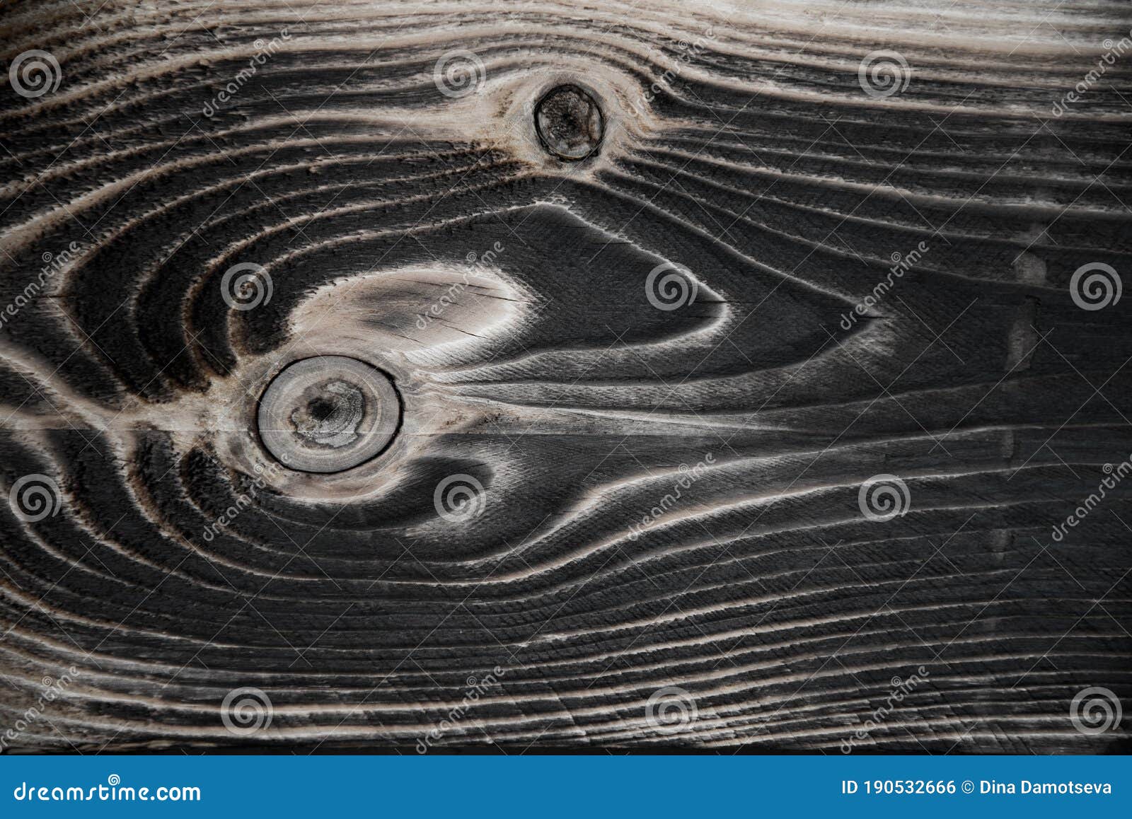 Burnt Wood, Close-up Textured Image. Background, Texture. Natural ...
