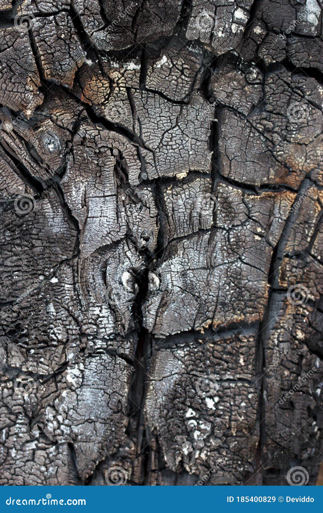 Burnt wood texture stock image. Image of macro, surface - 185400829