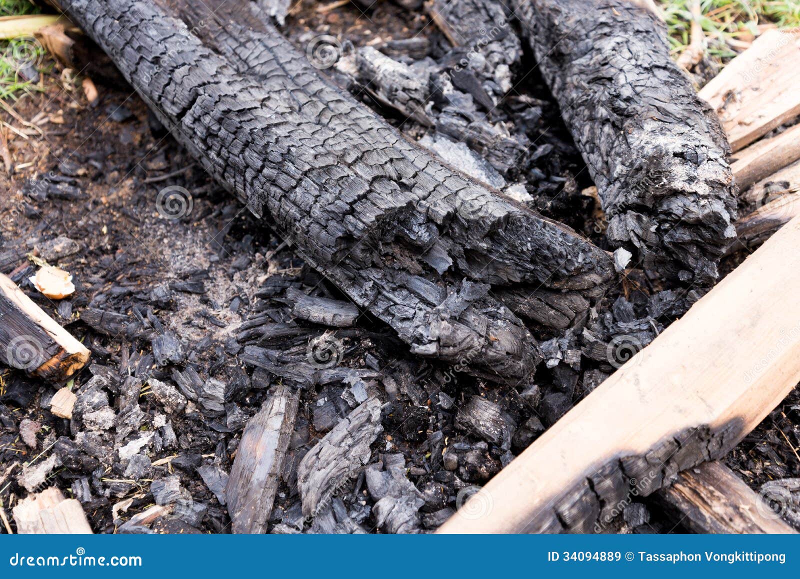 Burnt Wooden Log