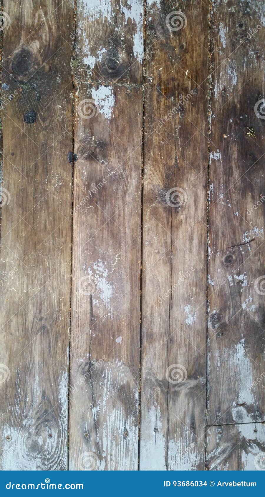 Burnt wooden panel stock photo. Image of wooden, knot - 93686034