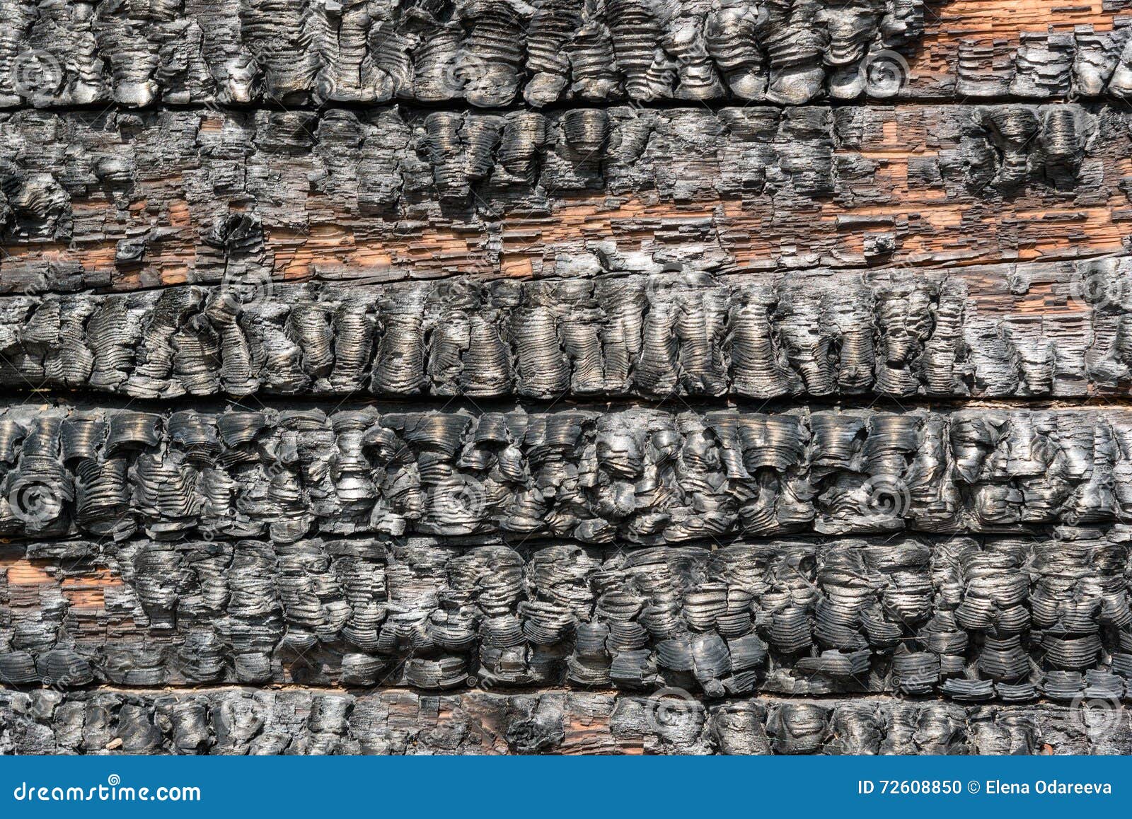 Burnt wooden wall stock photo. Image of board, damage - 72608850