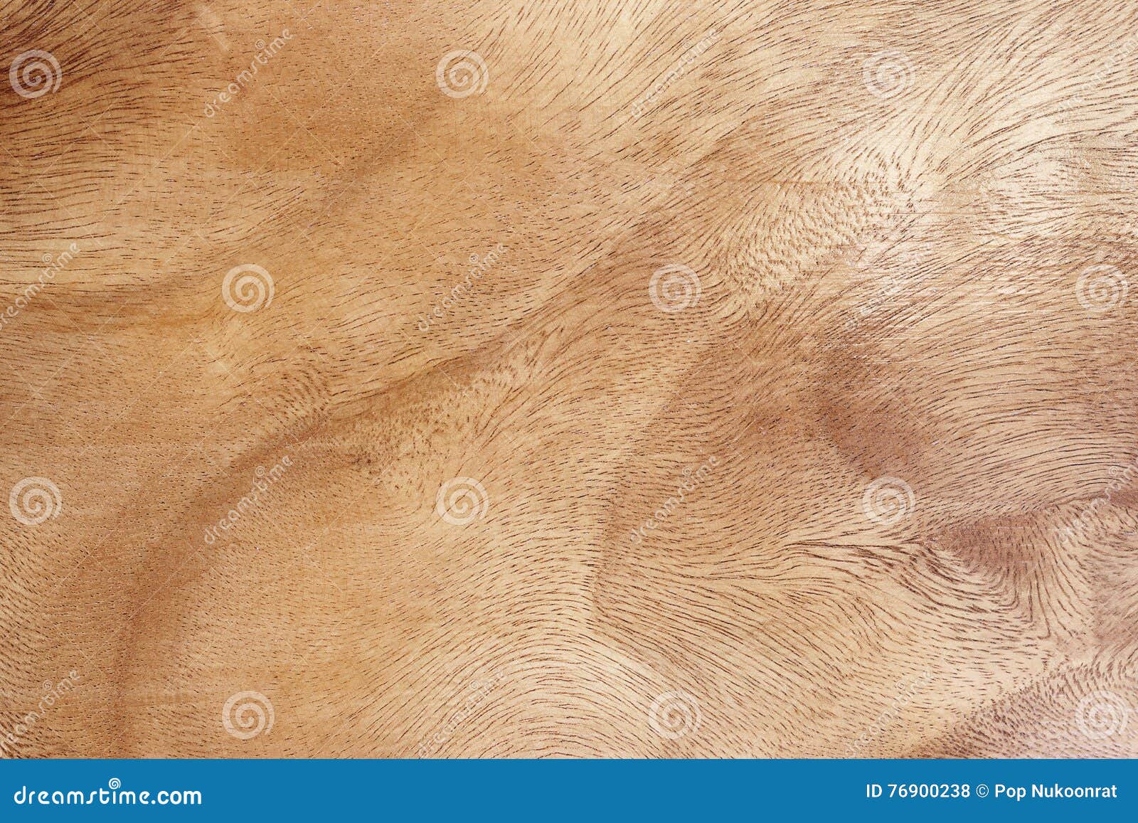 Burr Wood Texture Background Royalty-Free Stock Photography ...