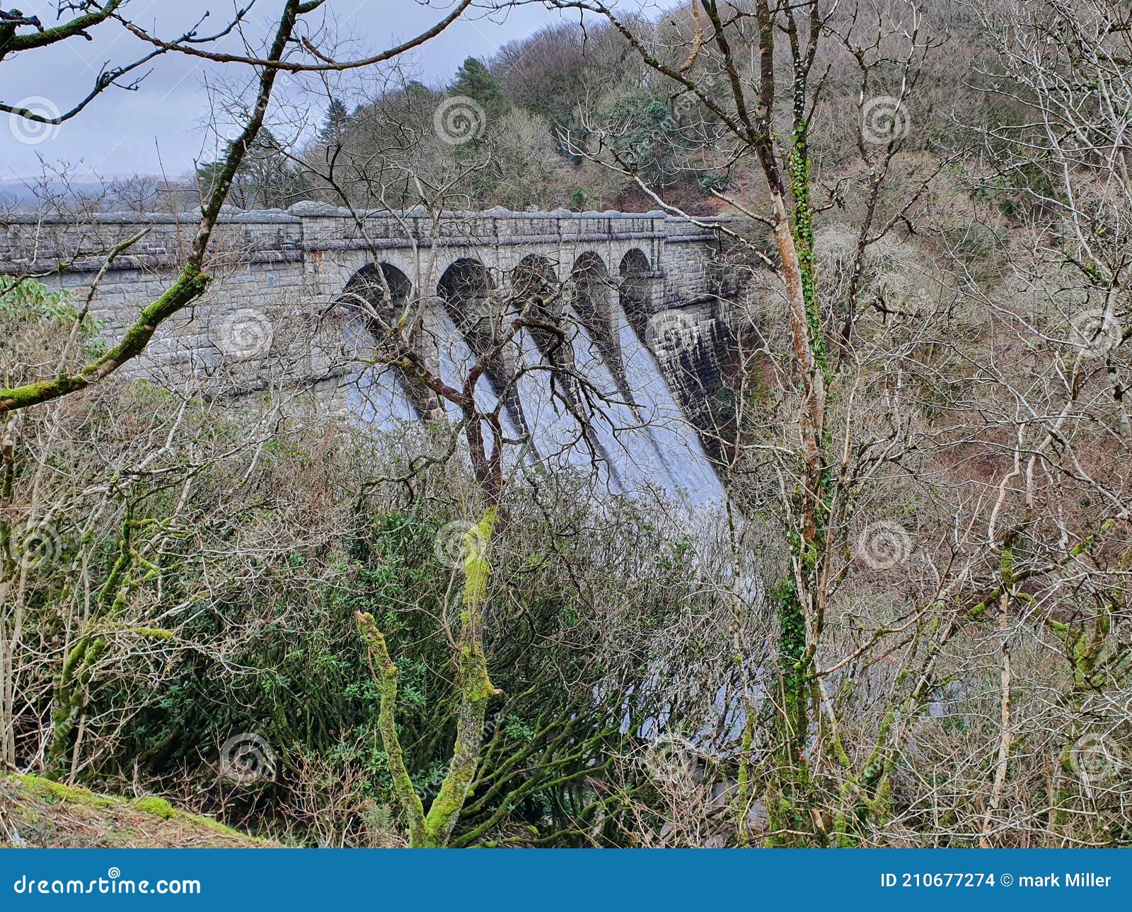 Burrator Dam Overflow Devon Stock Photo - Image of leaf, bridge: 210677274