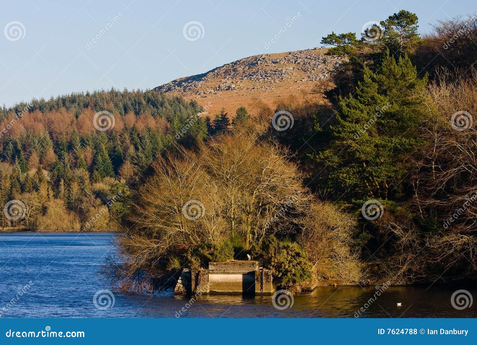 Burrator Reservoir Dartmoor Stock Photo - Image of ripples, dartmoor ...