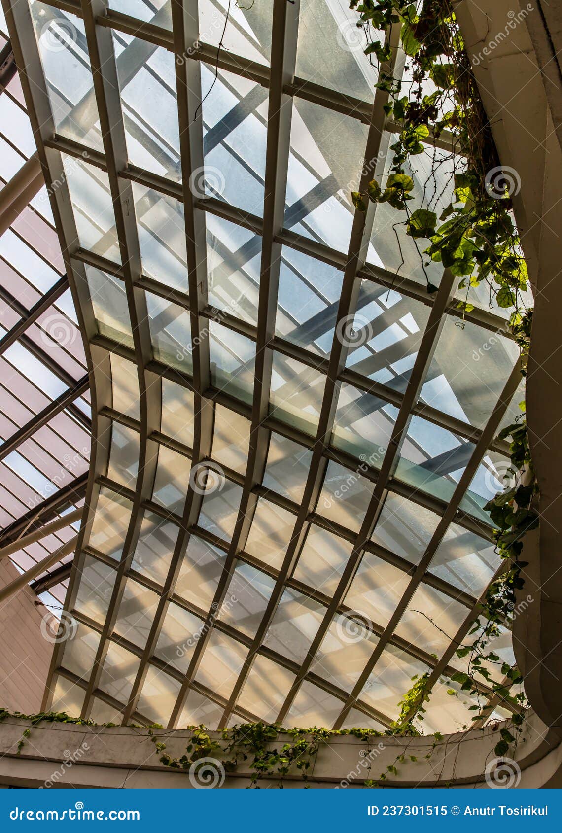 Burred Light and Shadow Passing through Glazed Ceiling Shines Editorial ...