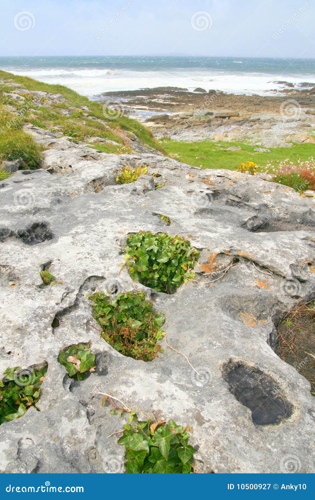 The Burren, Ireland stock image. Image of national, fissure - 10500927