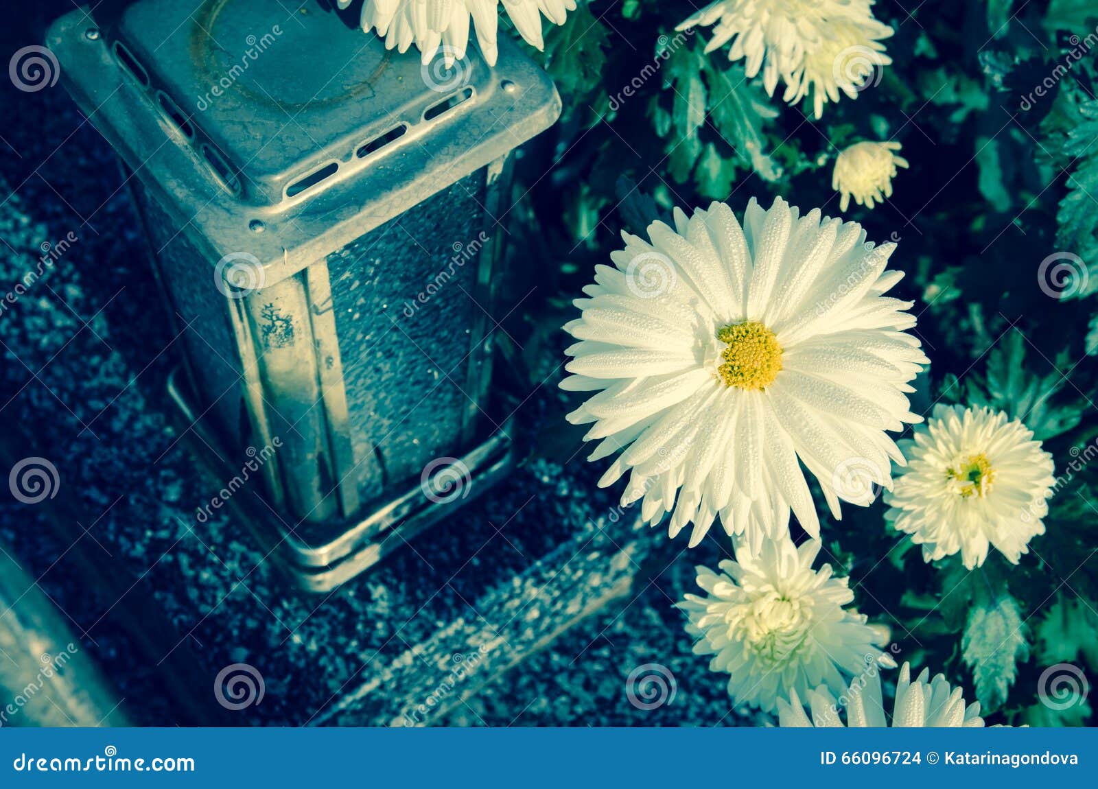 Burrial Decoration on Grave Stock Photo - Image of symbol, autumn: 66096724