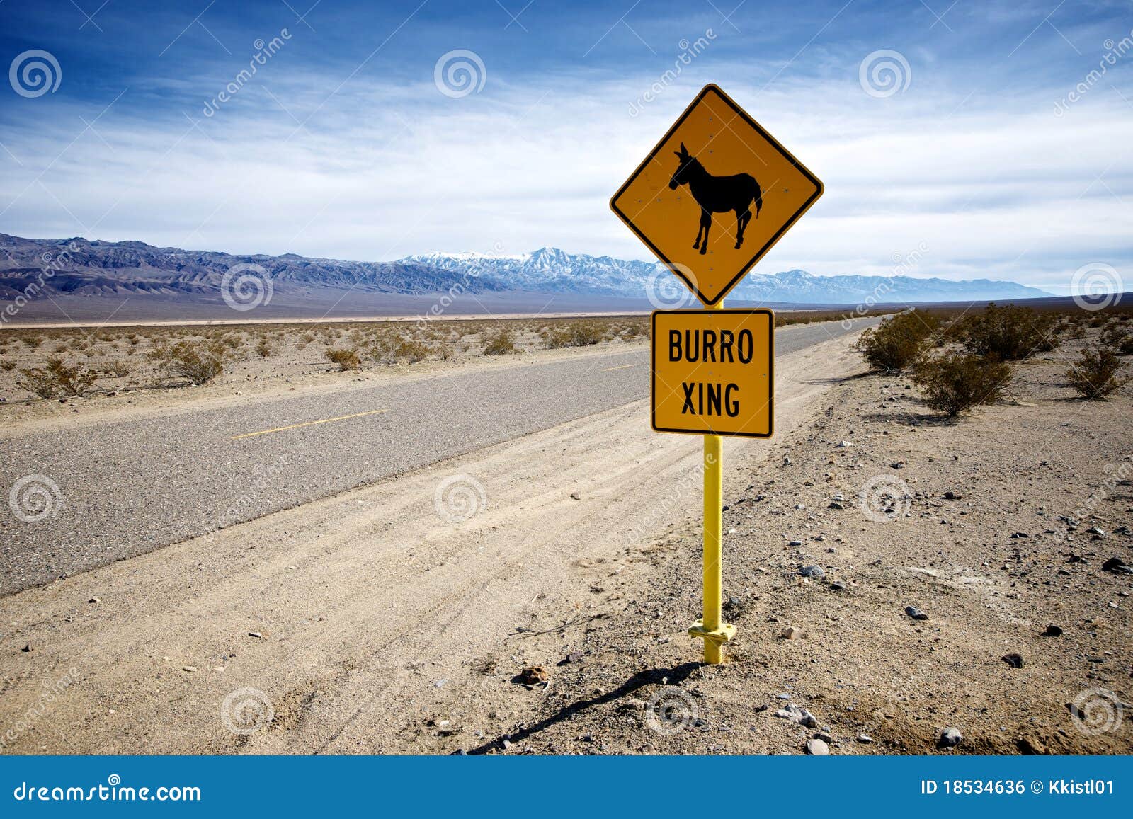 Burro Crossing stock photo. Image of random, warning - 18534636