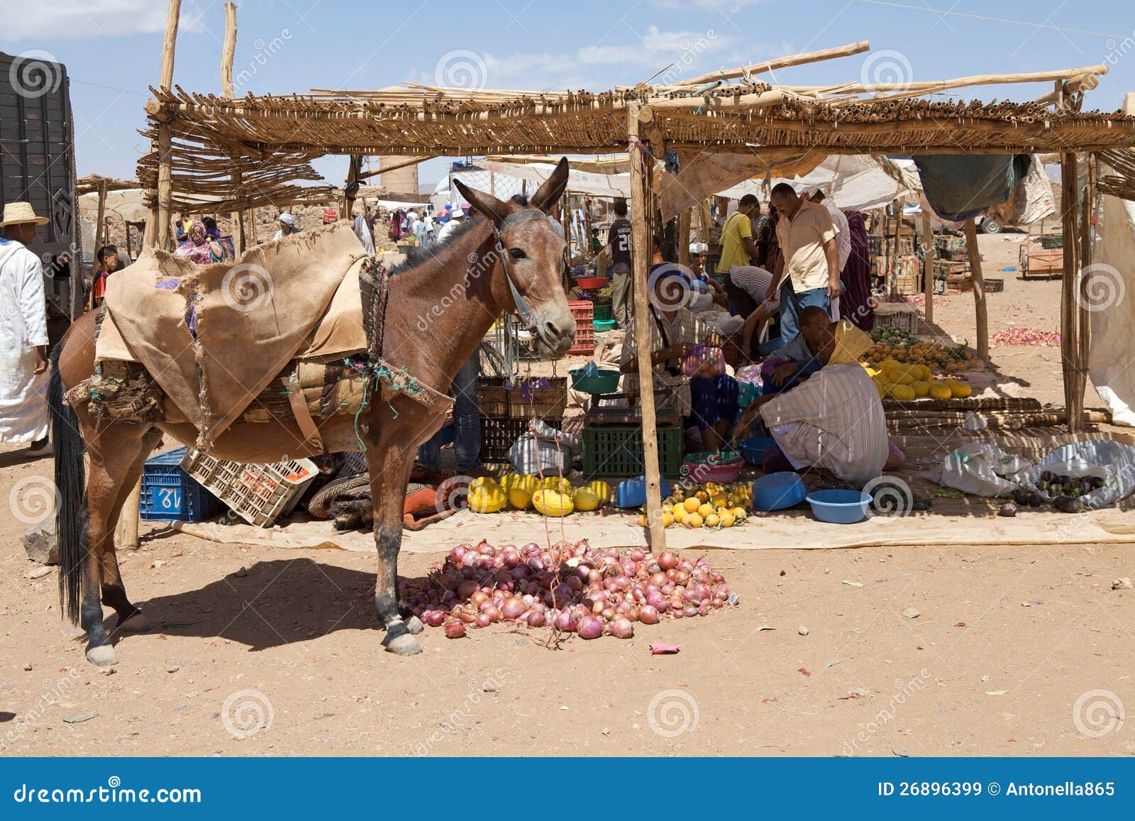 Burro en el mercado rural imagen de archivo editorial. Imagen de ...