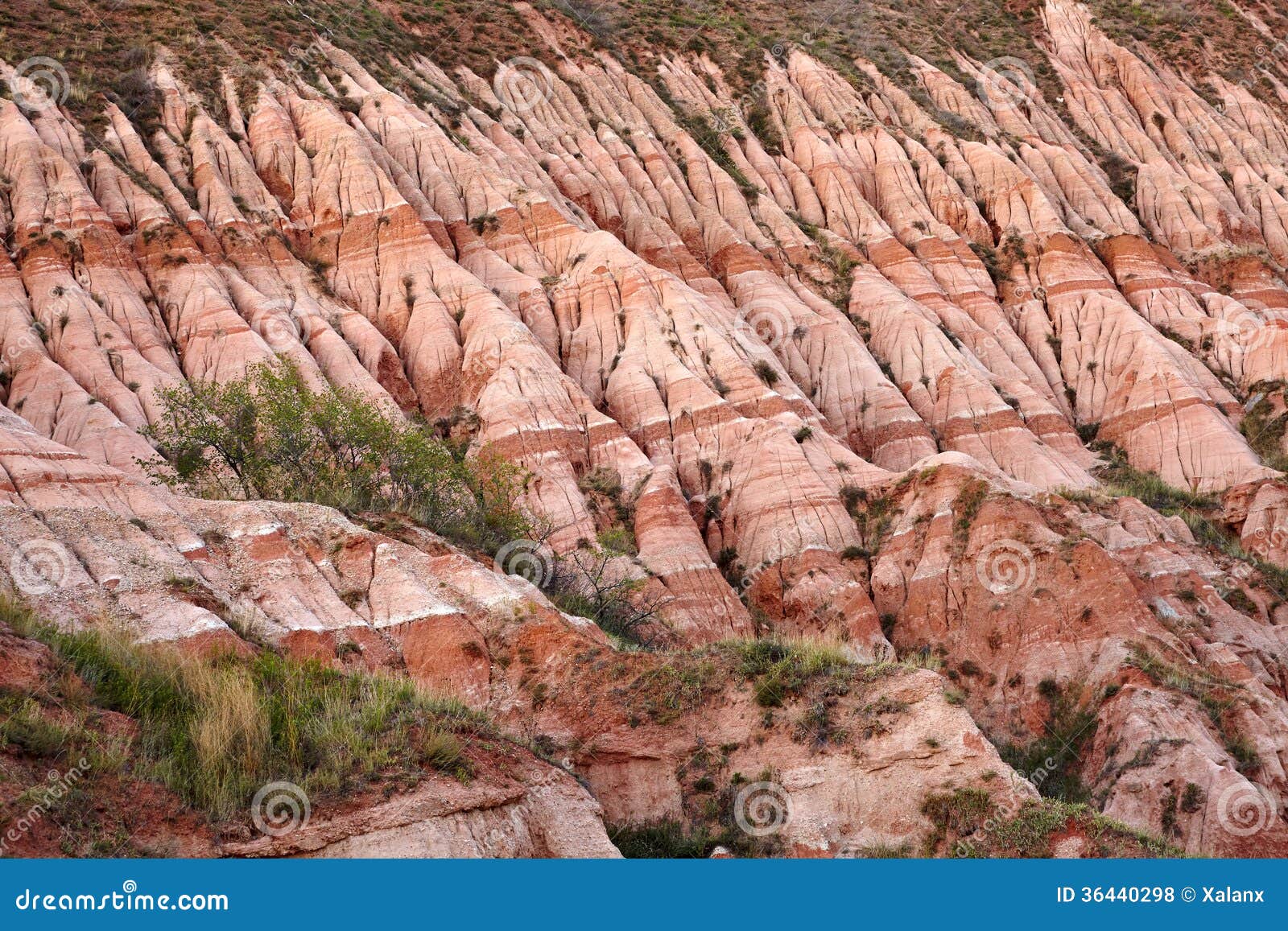 Burrone Rosso Dalle Montagne Carpatiche Fotografia Stock - Immagine di ...
