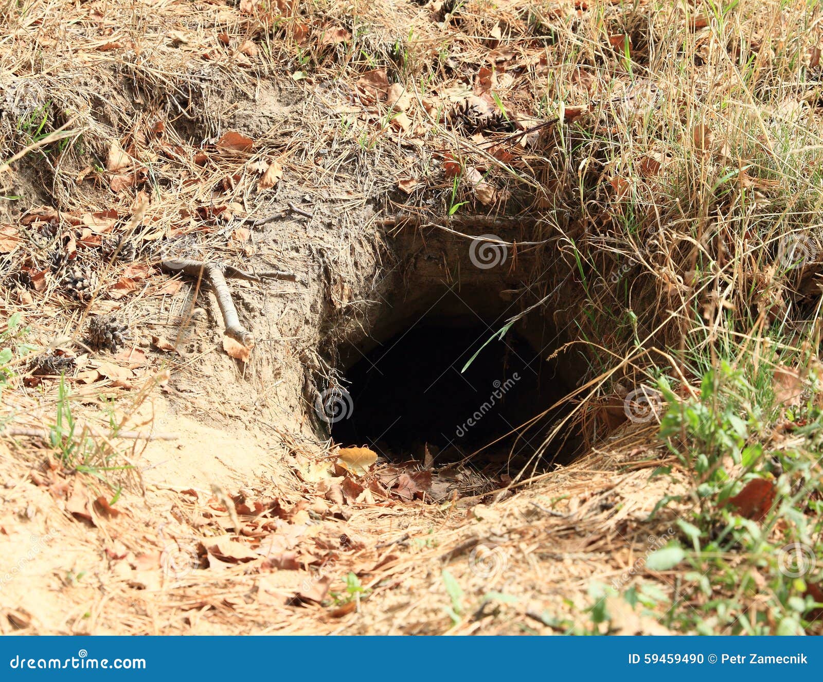 Burrow стоковое фото. изображение насчитывающей сух, земля - 59459490