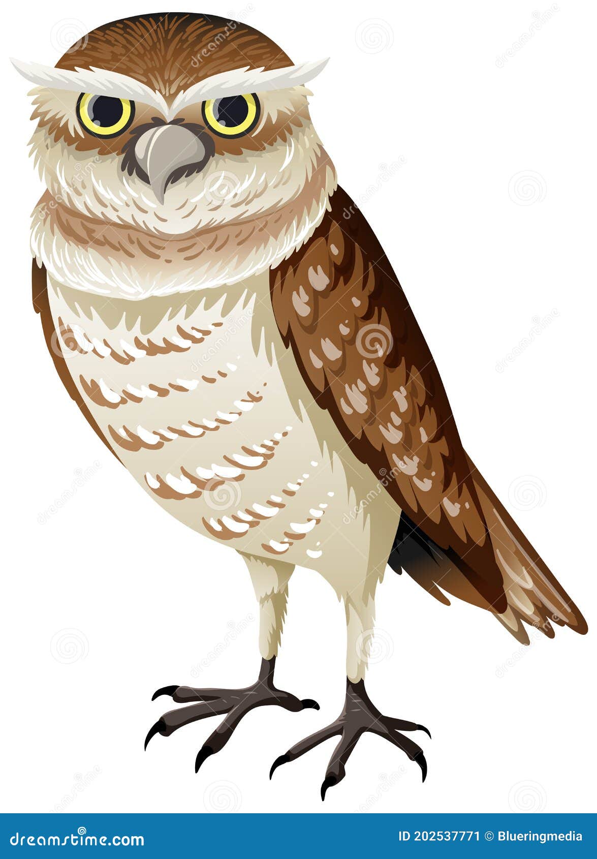 Burrowing Cartoons, Illustrations & Vector Stock Images - 232 Pictures ...