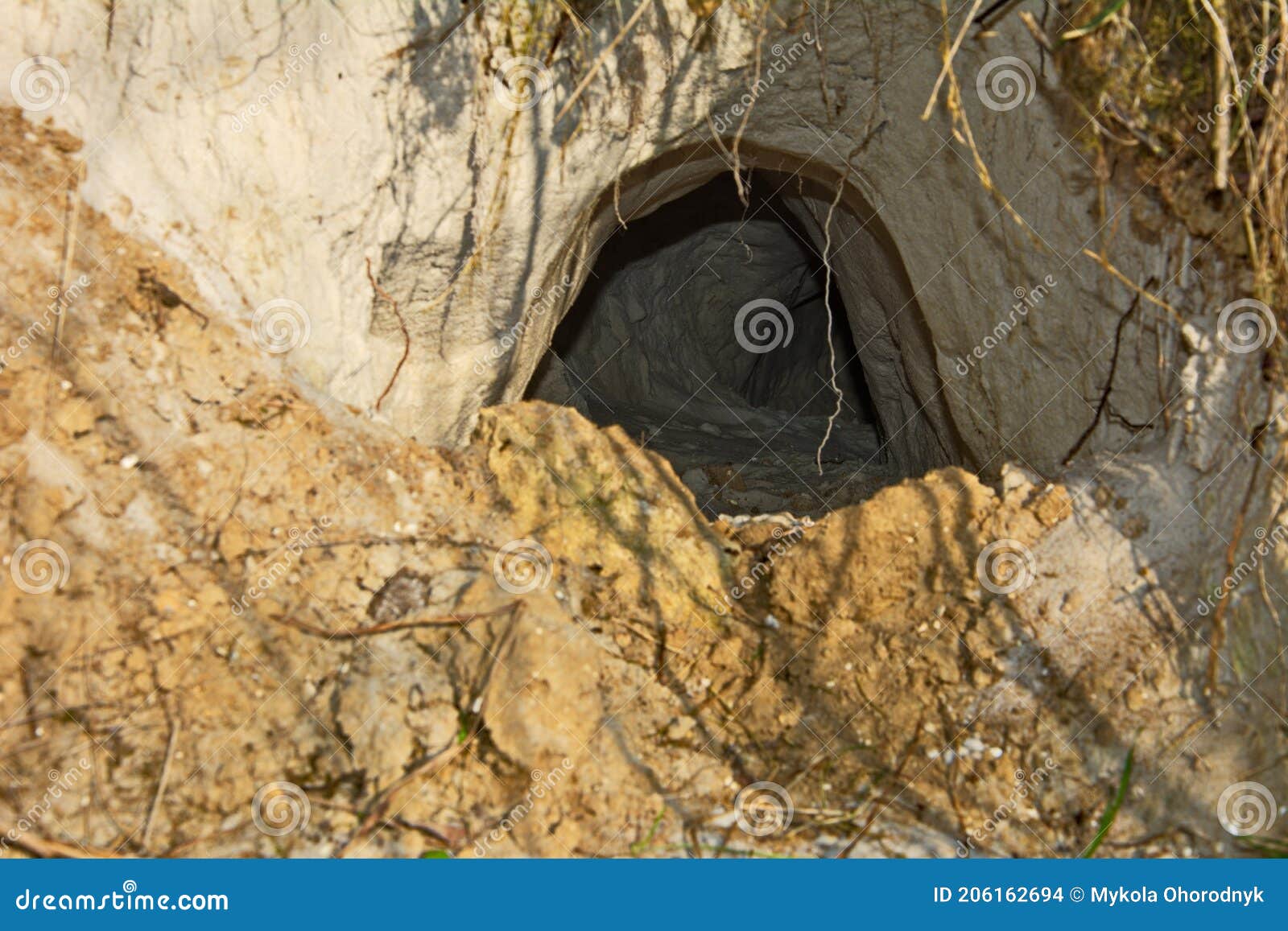 Empty Fox Hole Den in the Forest Stock Photo - Image of hole, landscape ...