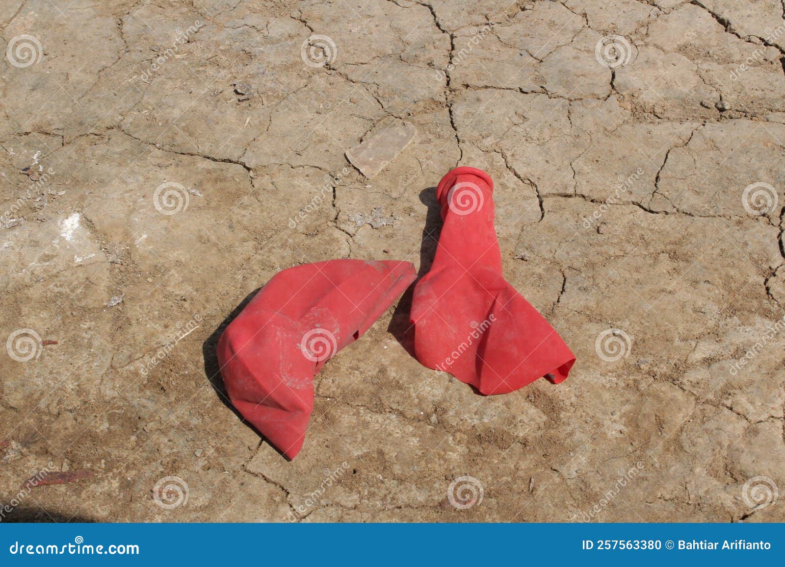 2 burst balloons lying stock photo. Image of flooring - 257563380