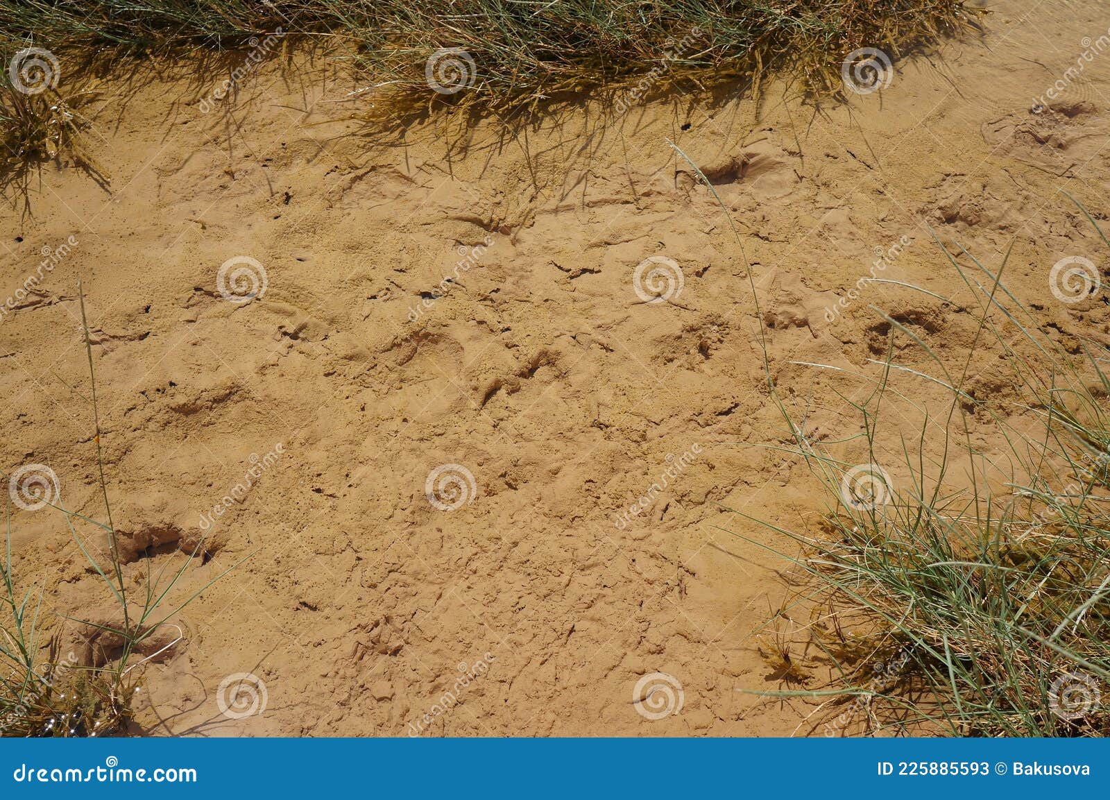 Broken Pipe of Clear Water and Puddle in the Desert Stock Image - Image ...