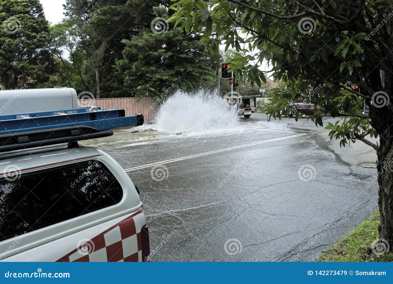 Water Main Pipe With Back Flow Prevention, Double Block, And Bleed ...