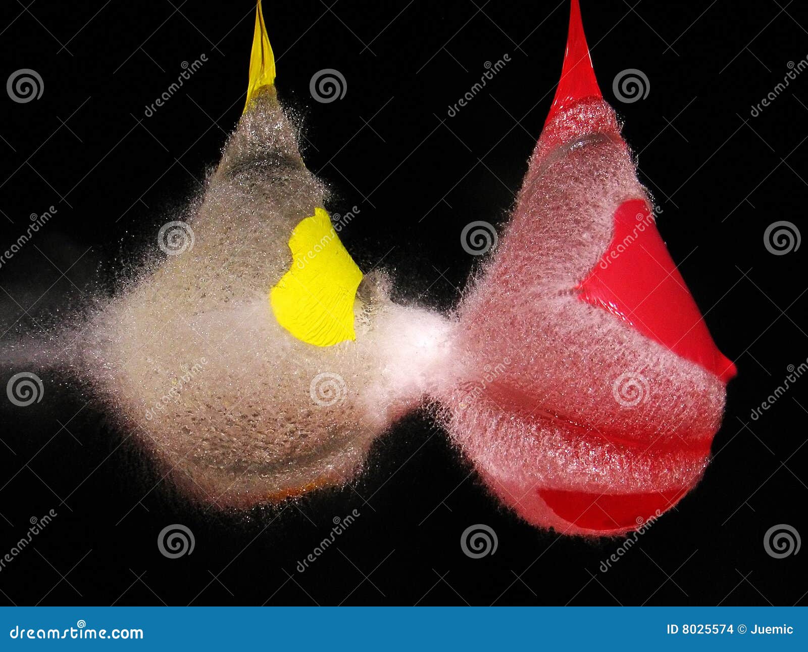 Bursting balloons stock photo. Image of water, balloon - 8025574