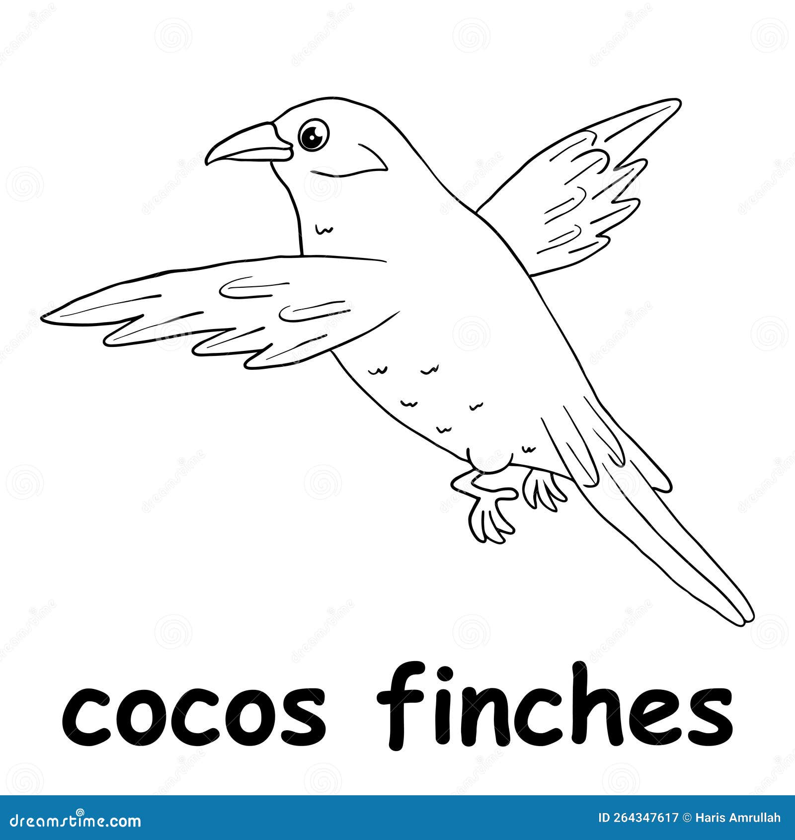 Kids Line Illustration Coloring Cocos Finches. Animal are Just Lines ...