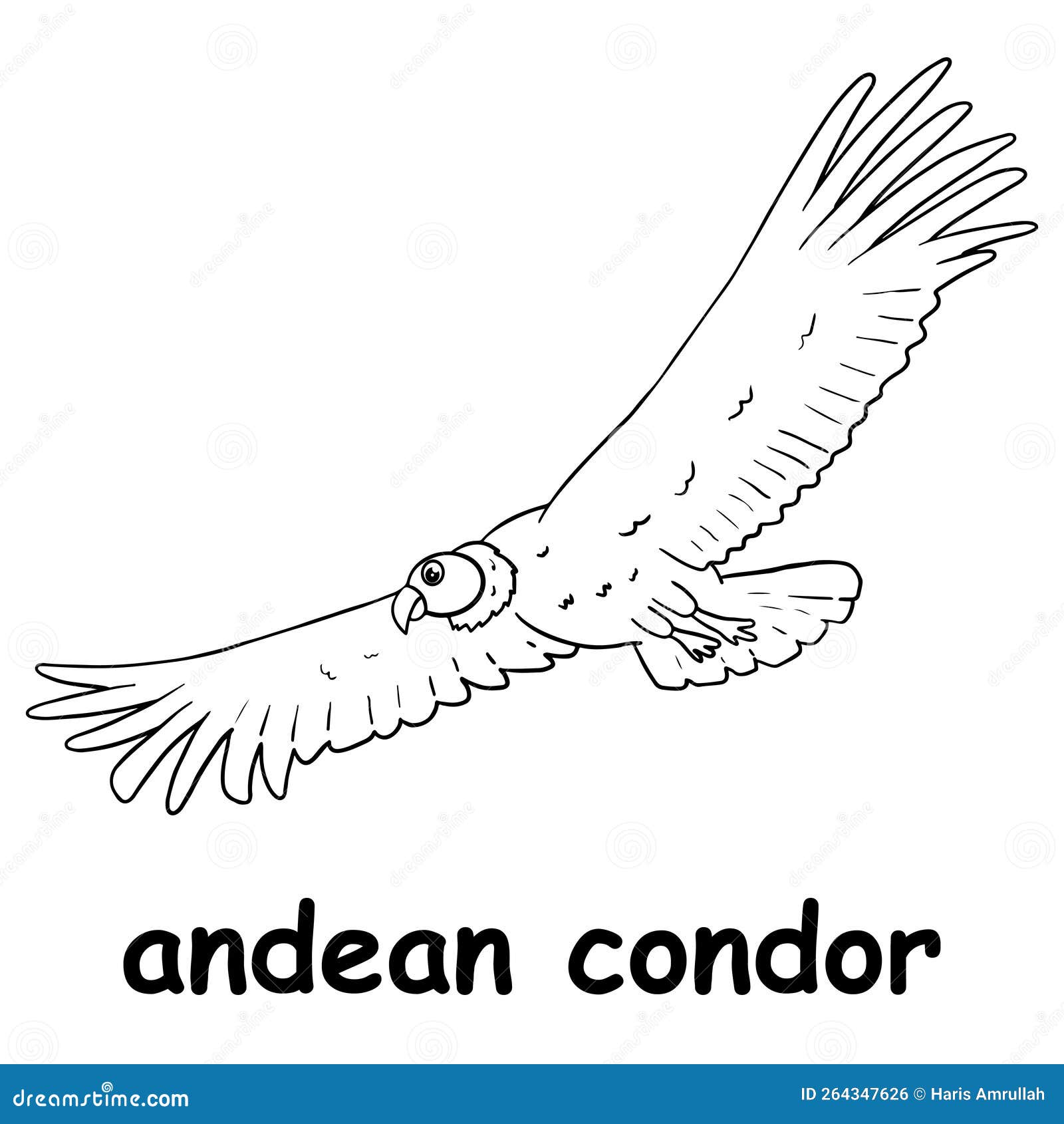 Kids Line Illustration Coloring Andean Condor. Animal are Just Lines ...